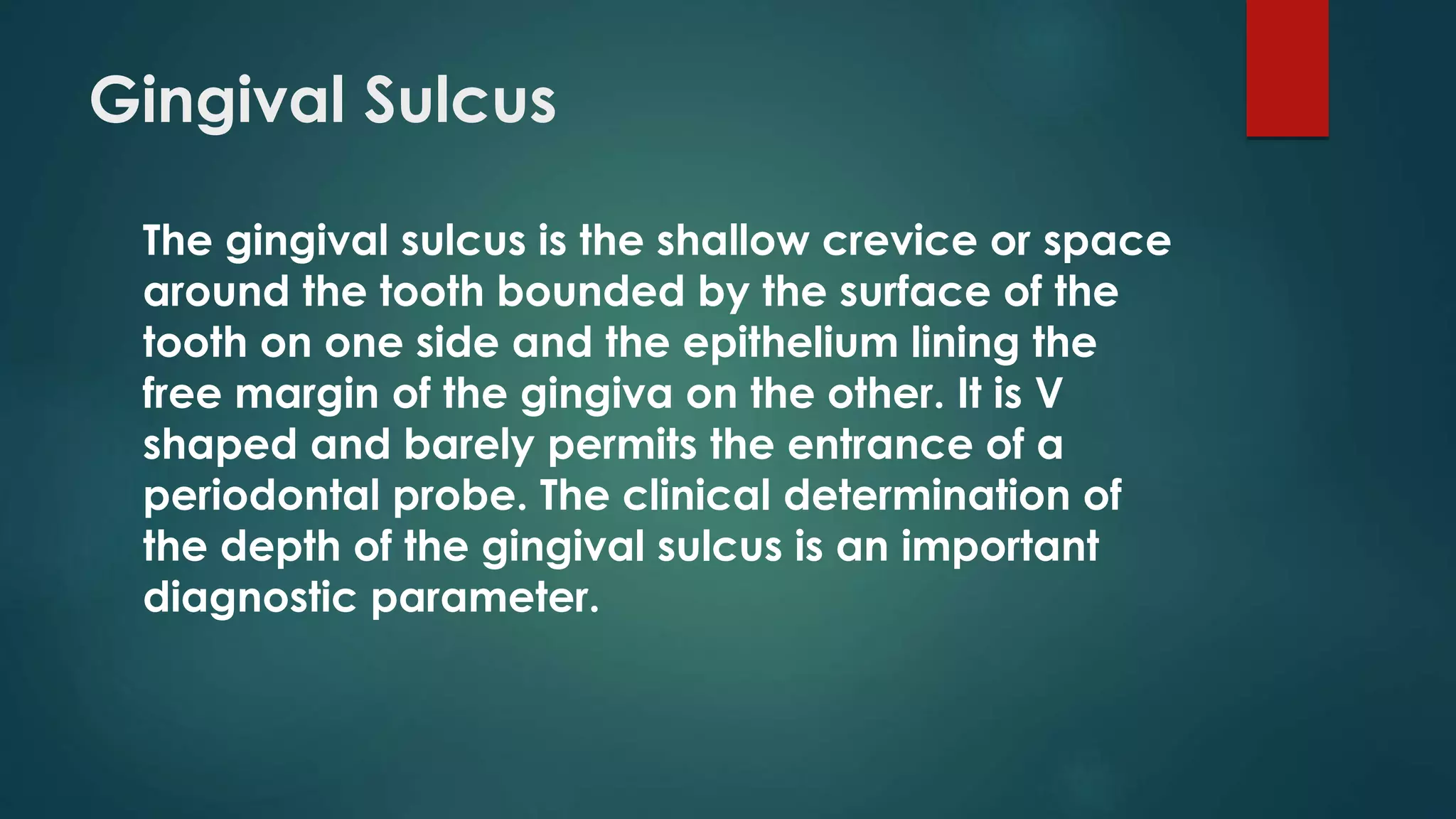 Normal periodontium | PPTX