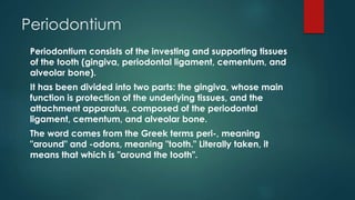 Normal periodontium | PPTX