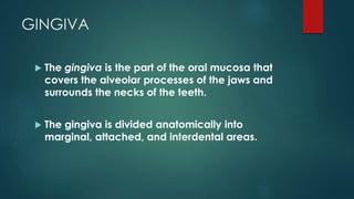 Normal periodontium | PPTX