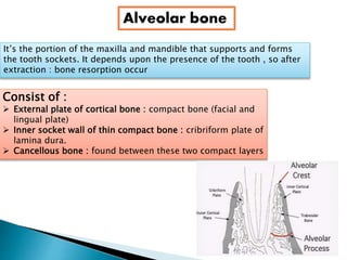 Normal periodontium | PPTX