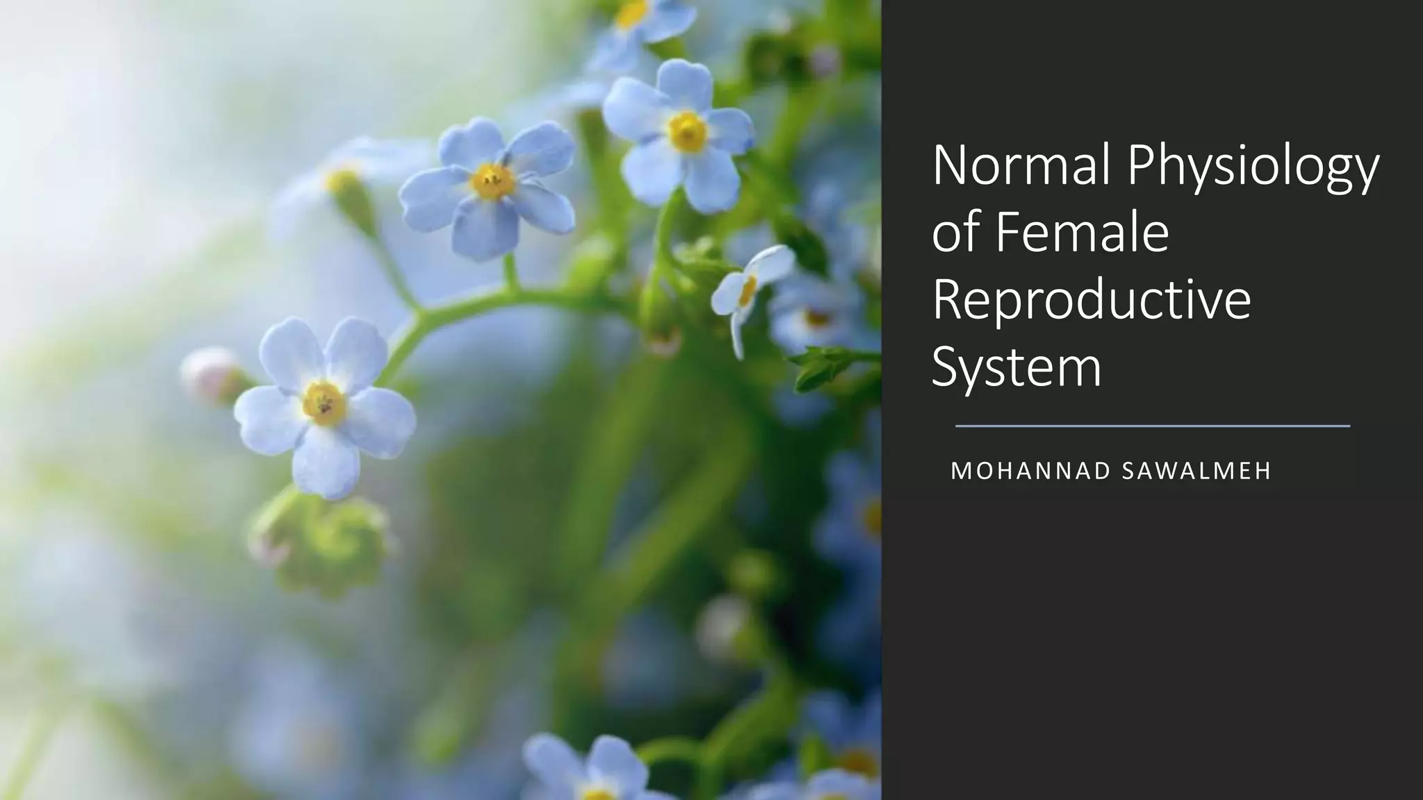 Normal physiology of female reproductive system | PPT