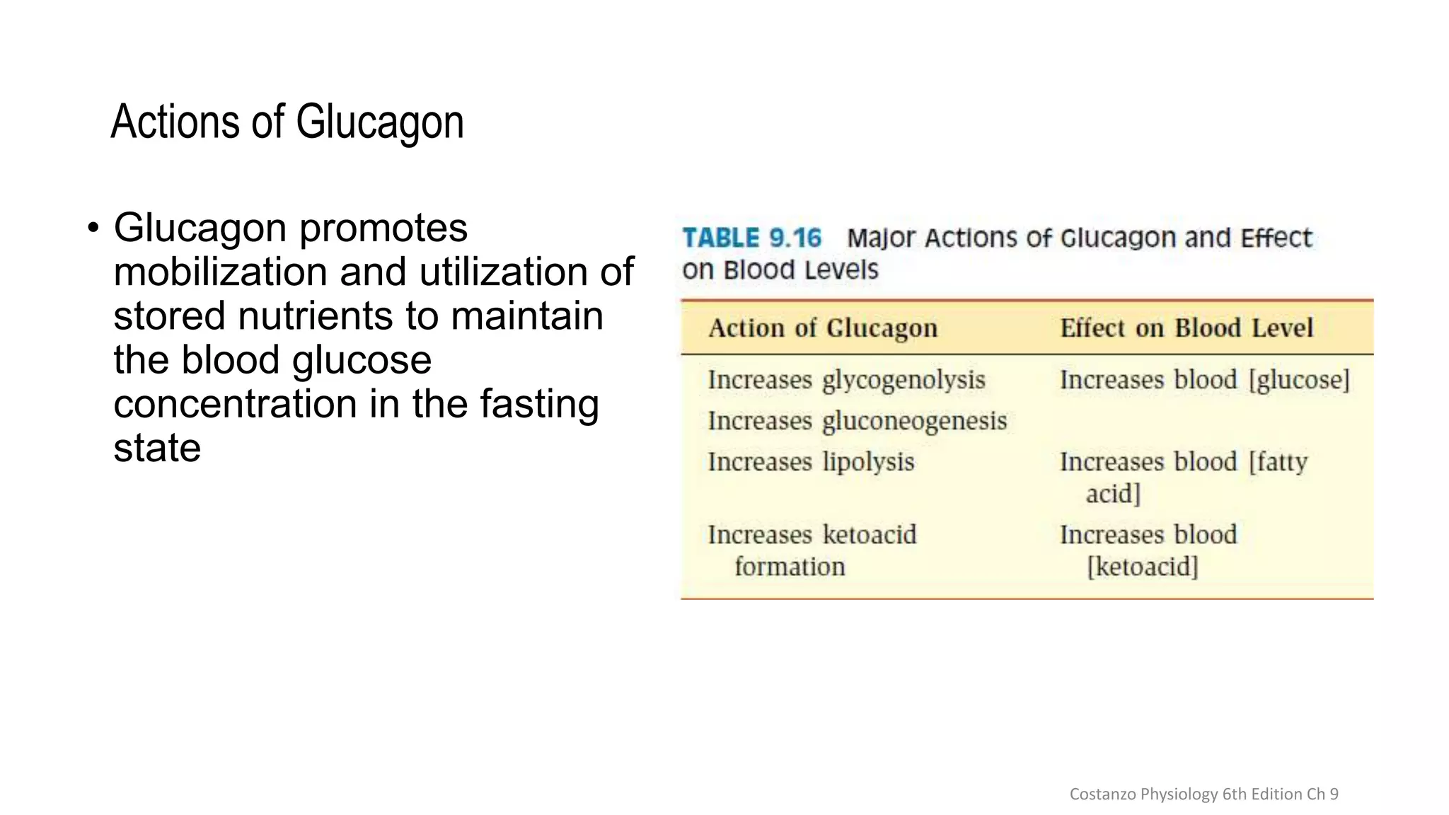 Normal physiology of insulin, Glucagon and Somatostatin | PPTX ...