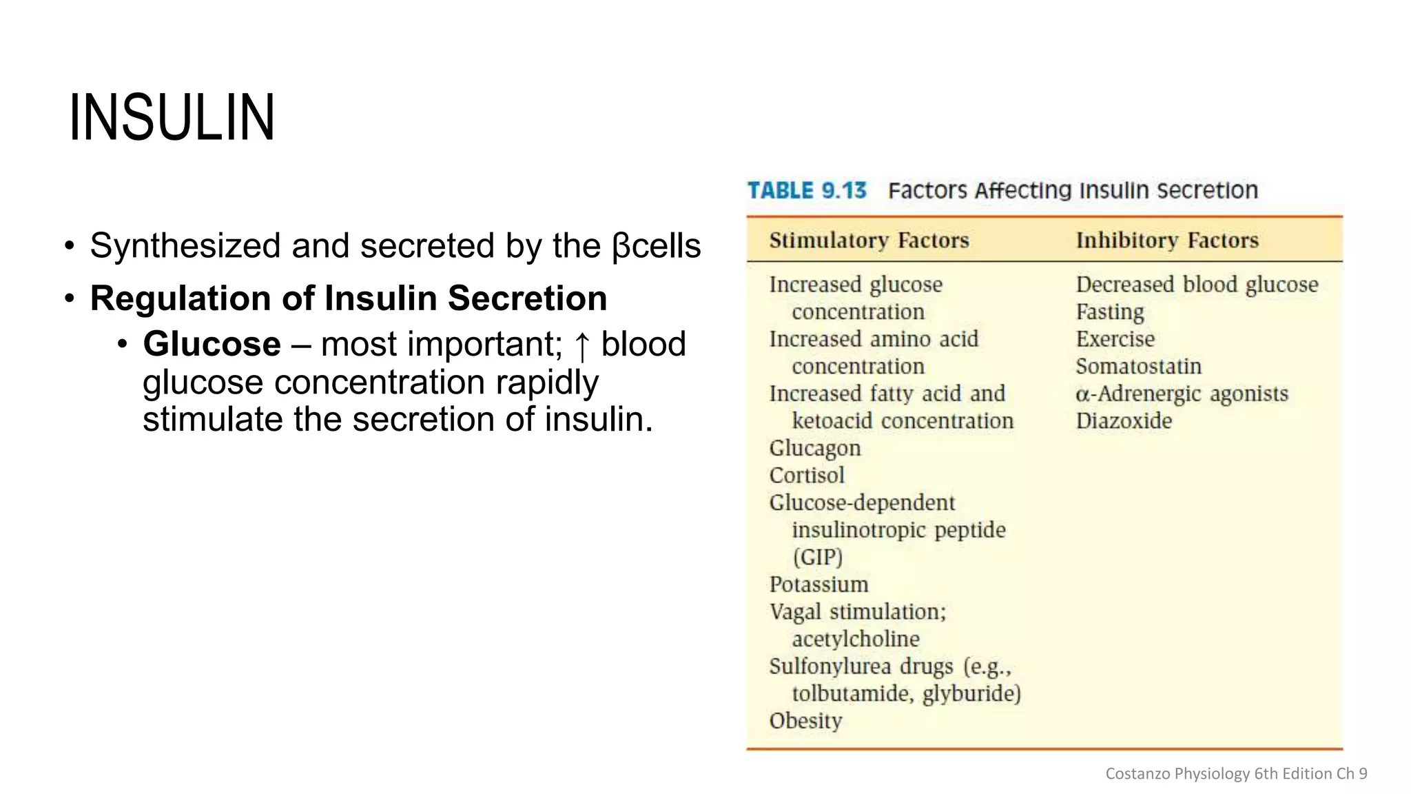 Normal physiology of insulin, Glucagon and Somatostatin | PPTX