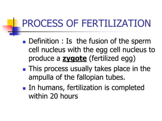 normal pregnancy .ppt