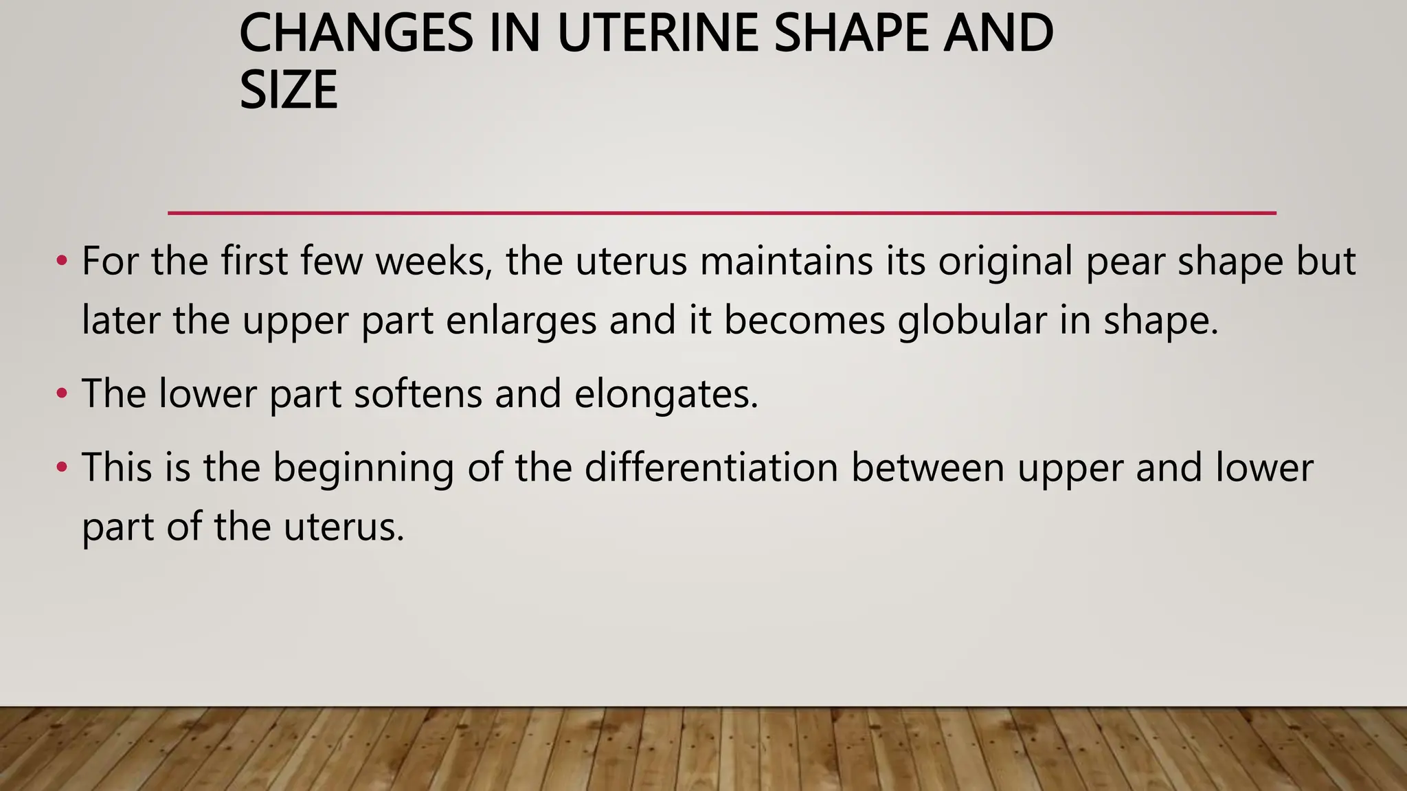 NORMAL PREGNANCY.pptx