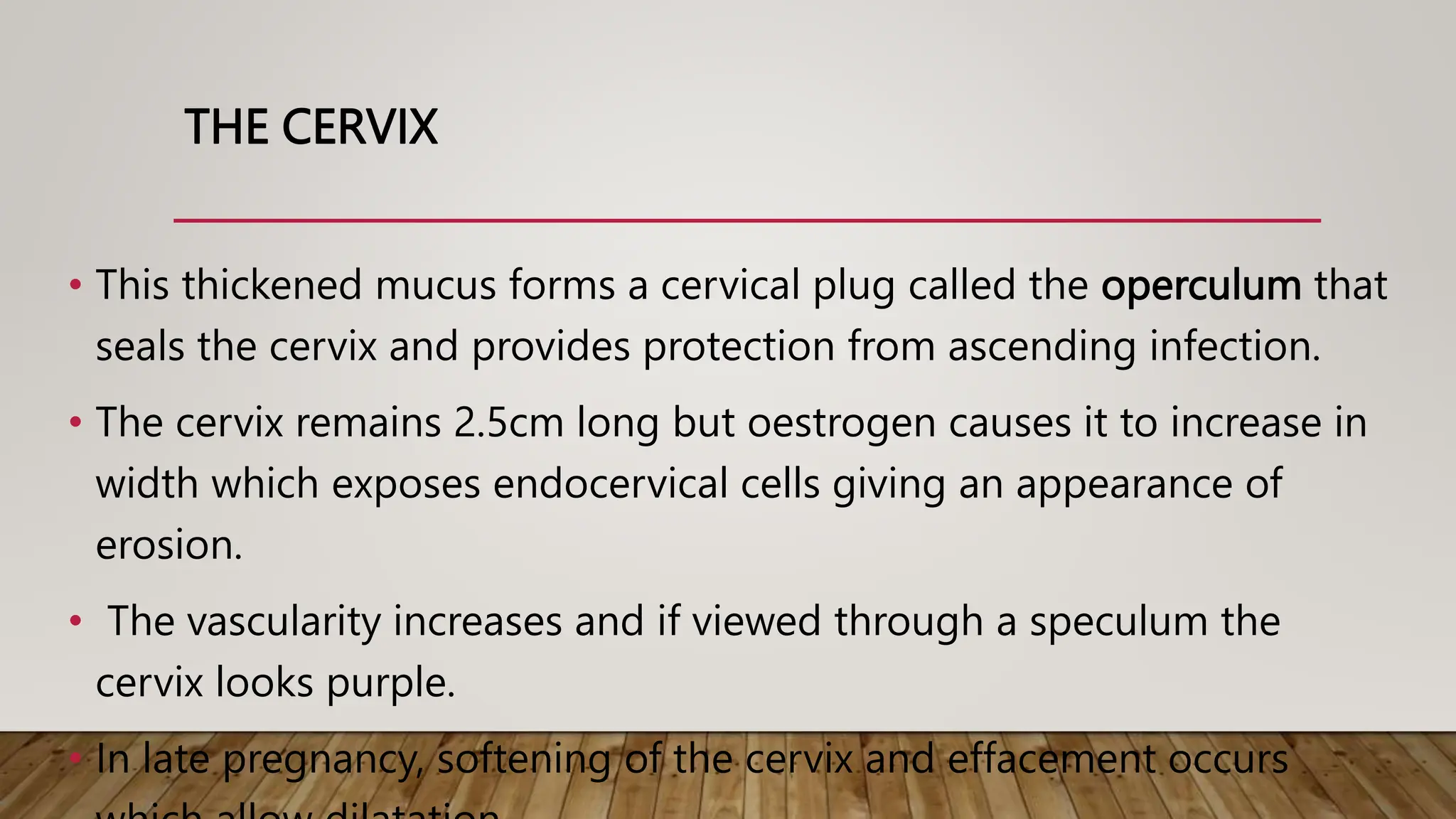 NORMAL PREGNANCY.pptx