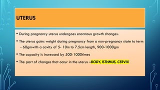 Normal pregnancy.pptx ... only for refence | PPTX
