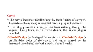 Normal pregnancy notes | PPTX
