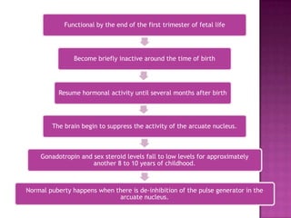 Normal puberty | PPTX