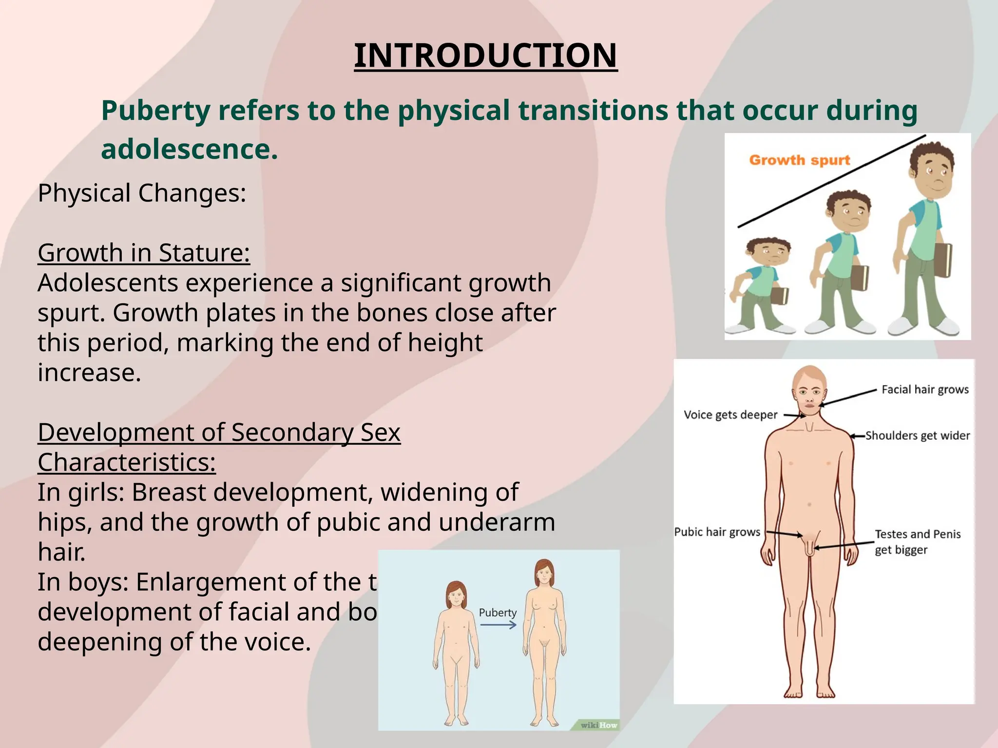 “Understanding Normal Puberty: A Comprehensive Exploration of the Biological, Physical, and ...