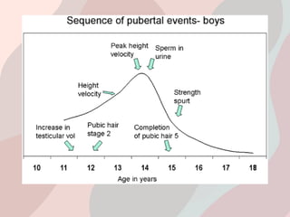 “Understanding Normal Puberty: A Comprehensive Exploration of the ...
