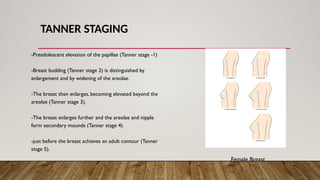 Detail disscusion on NORMAL PUBERTY 2 2.pptx