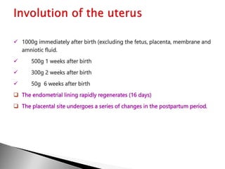 NORMAL PUEPERIUM _(POST-PARTUM PERIOD) (1) (1).ppt