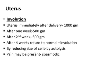 Normal puerperium | PPTX