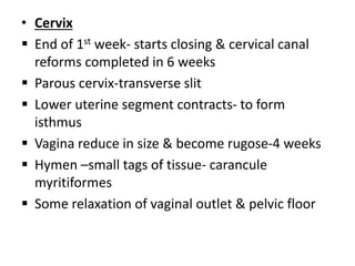 Normal puerperium | PPTX