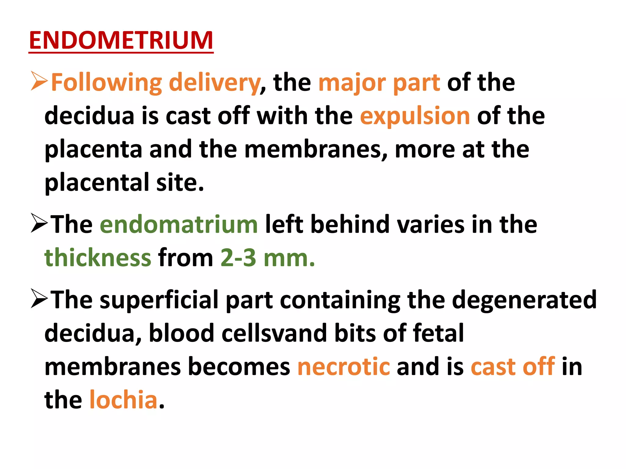 Normal puerperium | PPTX