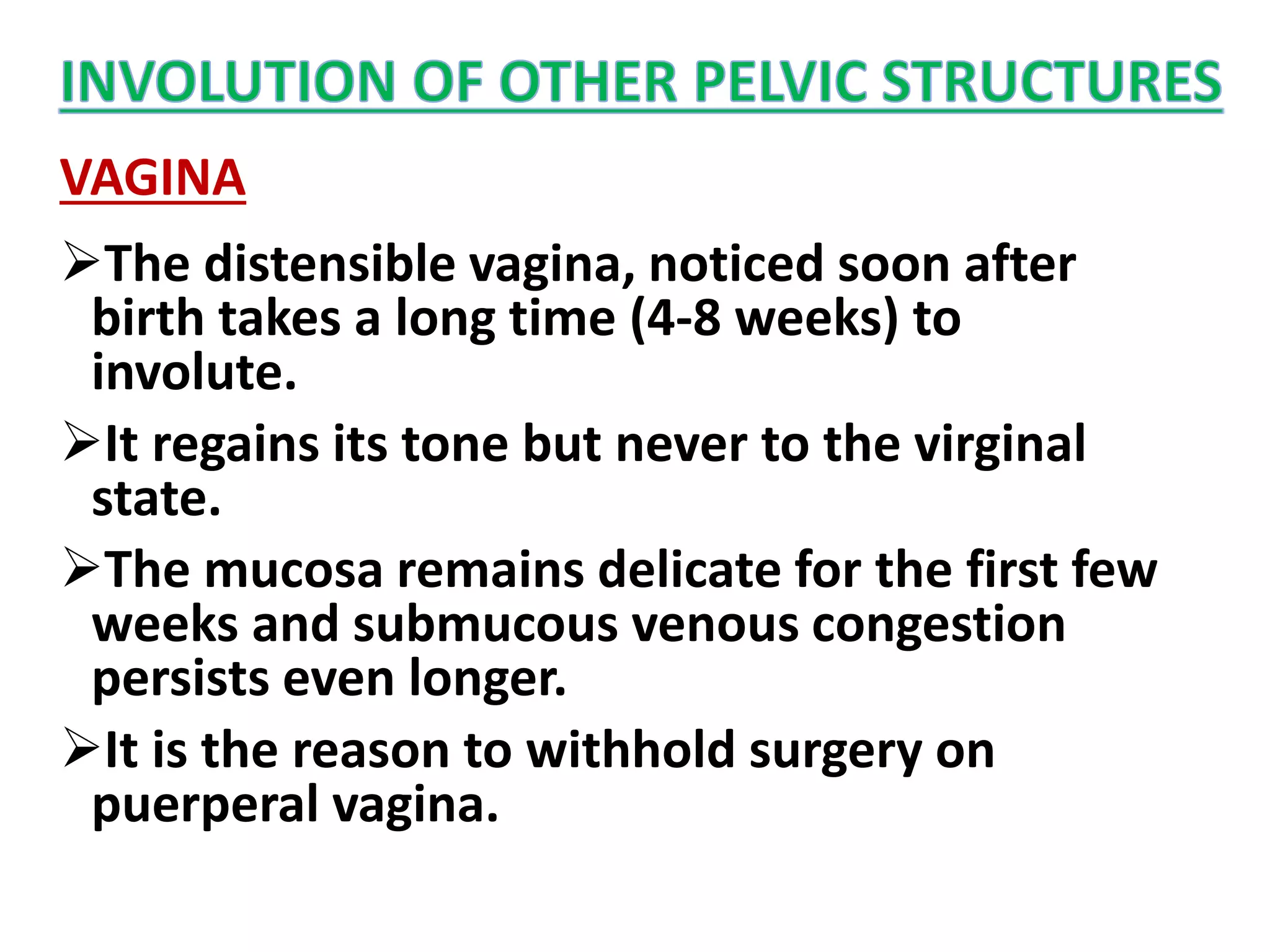 Normal puerperium | PPTX