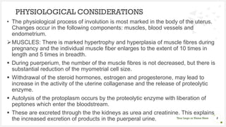 Normal puerperium | PDF