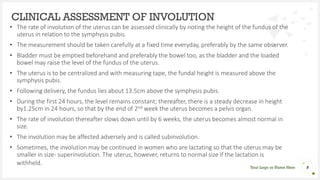 Normal puerperium | PPT