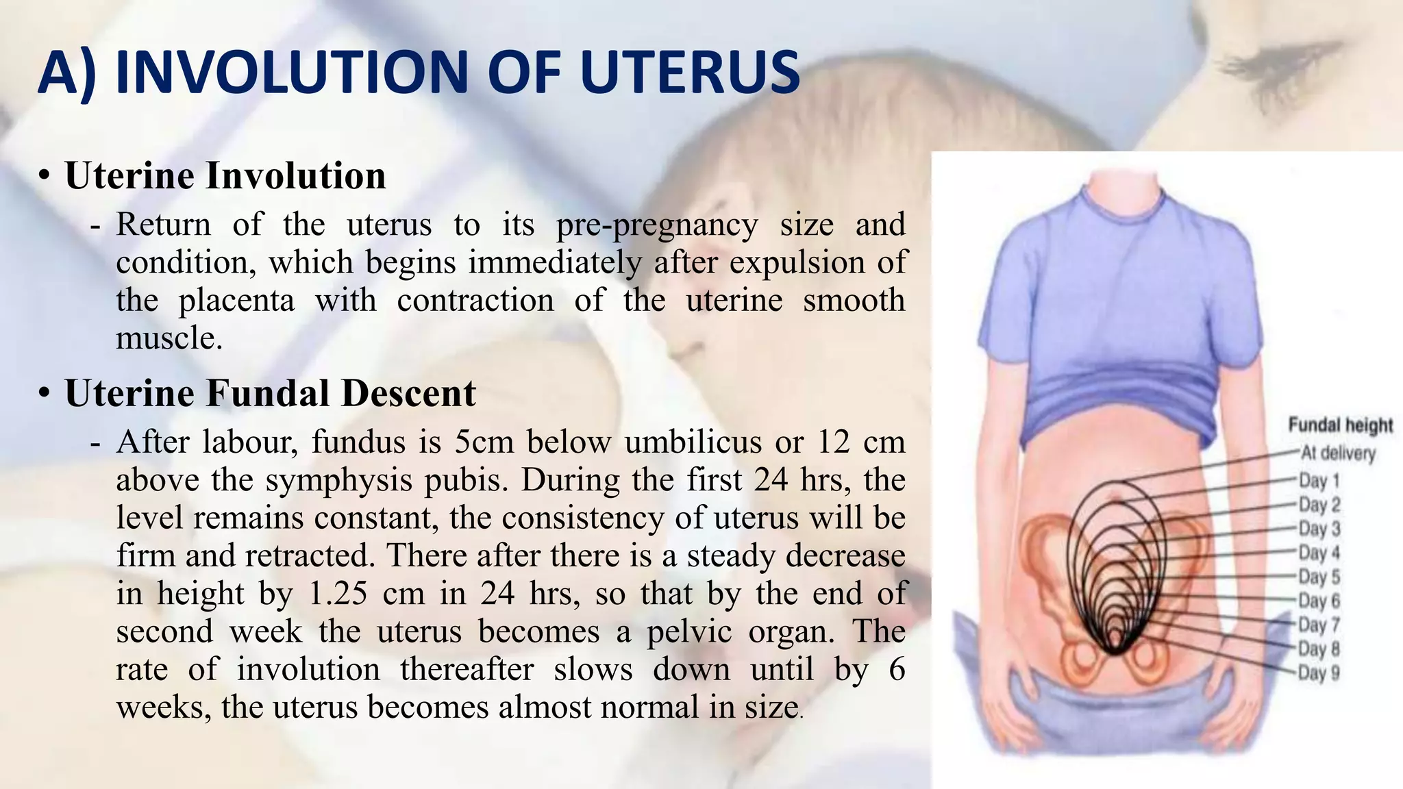 Normal puerperium - Obstetrical and Gynecological Nursing | PPTX