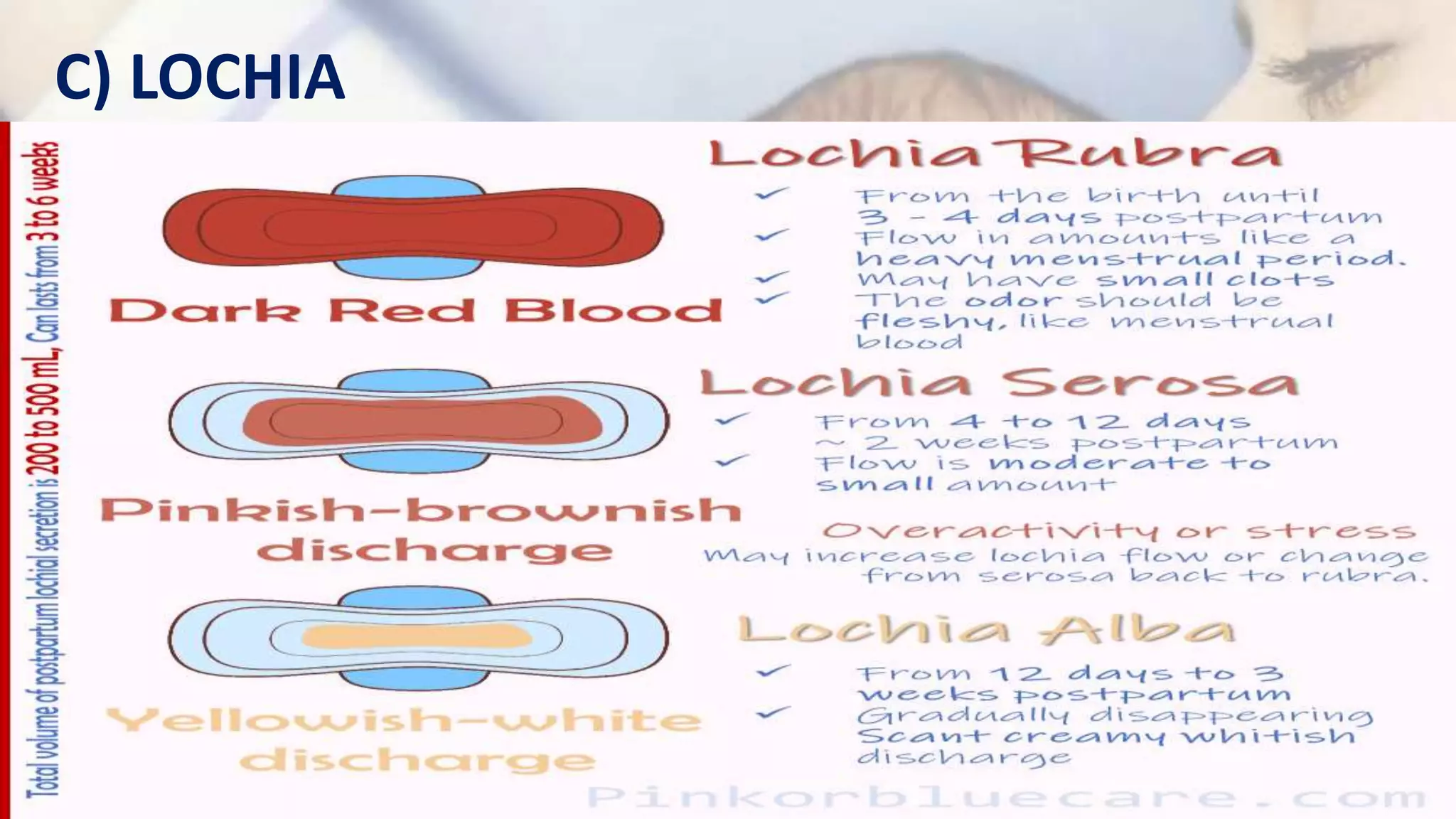 Normal puerperium - Obstetrical and Gynecological Nursing | PPTX