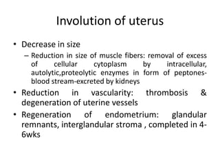 normal puerperium.pptx