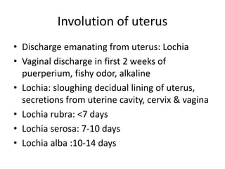 normal puerperium.pptx