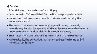Normal Puerperium - from delivery up to 6weeks by doctor.uterus | PPTX