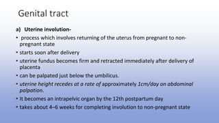 Normal Puerperium - from delivery up to 6weeks by doctor.uterus | PPTX