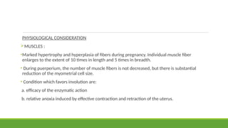 Normal puerperium.pptx obstetrics and gynaecologist | PPTX