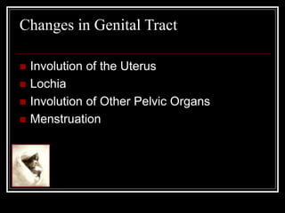 normal_puerperium_postnatal.ppt,,,,,,,,,,,,,,, | PPT