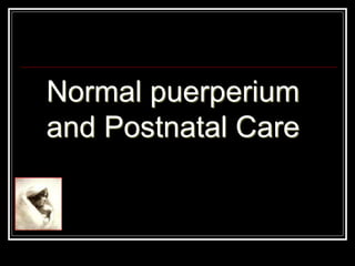 normal_puerperium_postnatal for midwifery .ppt