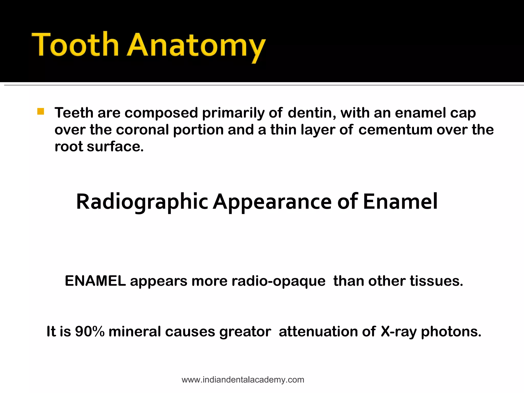 Normal radiographic anatomical landmarks / dental courses | PPT