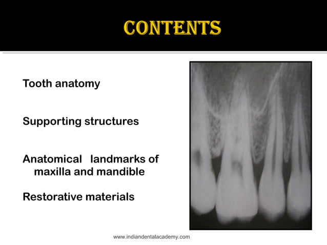 Normal radiographic anatomical landmarks / dental courses | PPT ...