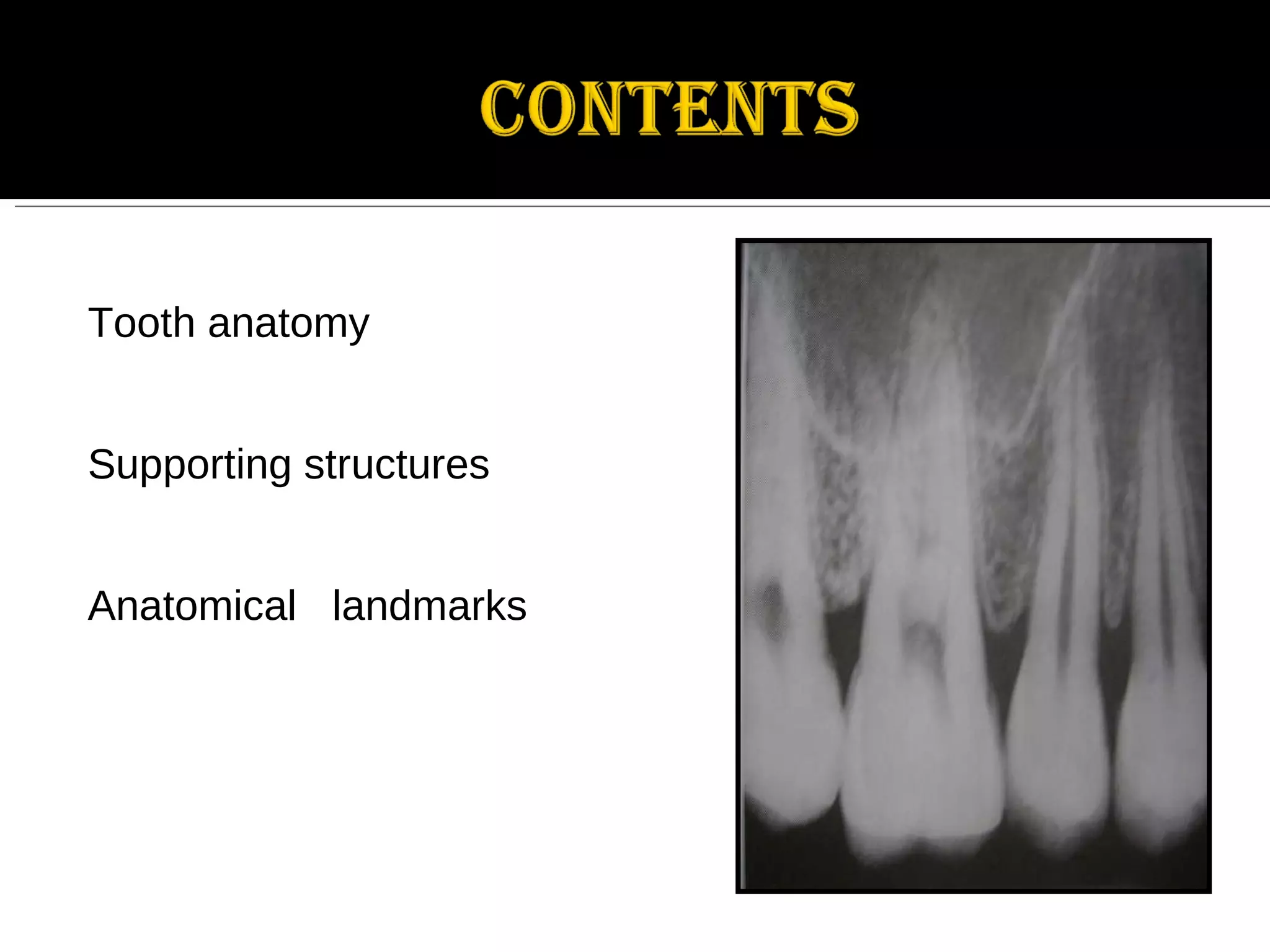 Normal Radiographic Anatomy | PPT