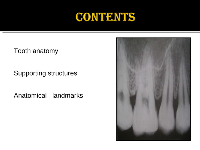 Normal Radiographic Anatomy | PPT