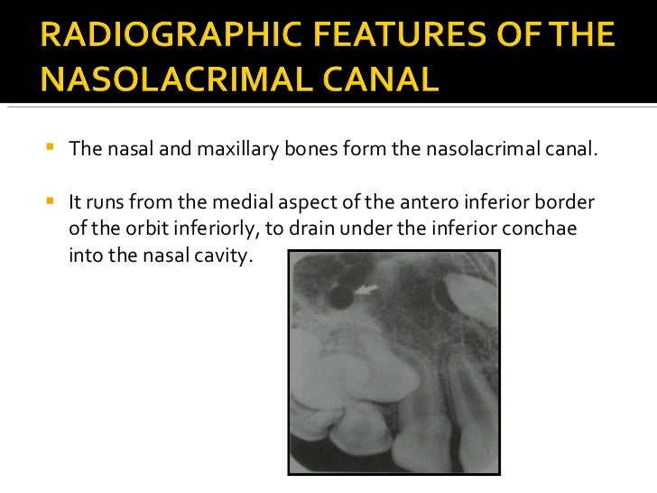 Normal Radiographic Anatomy Of Oral Cavity at Rae Downey blog