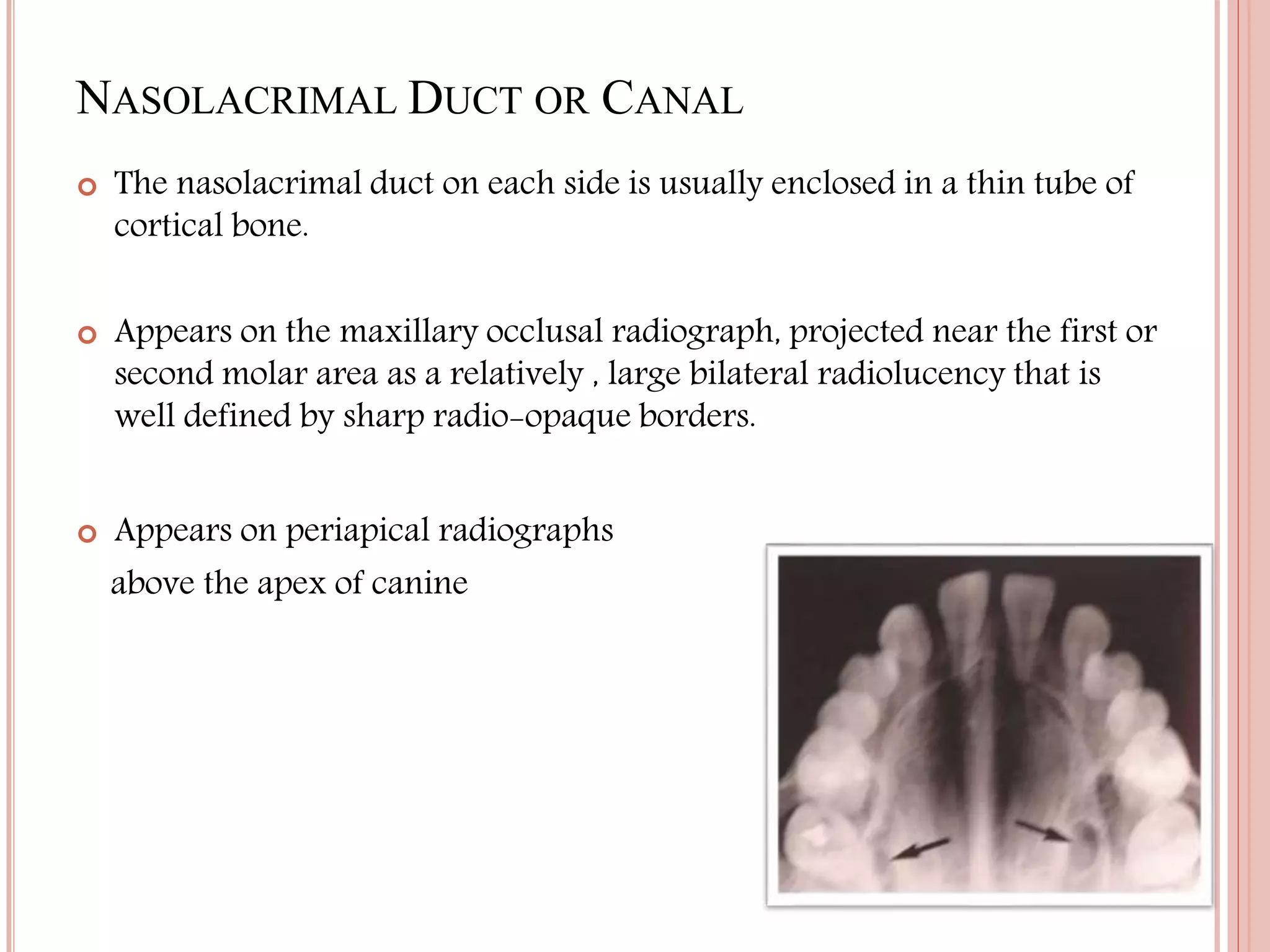 Normal radiographic anatomy | PPTX