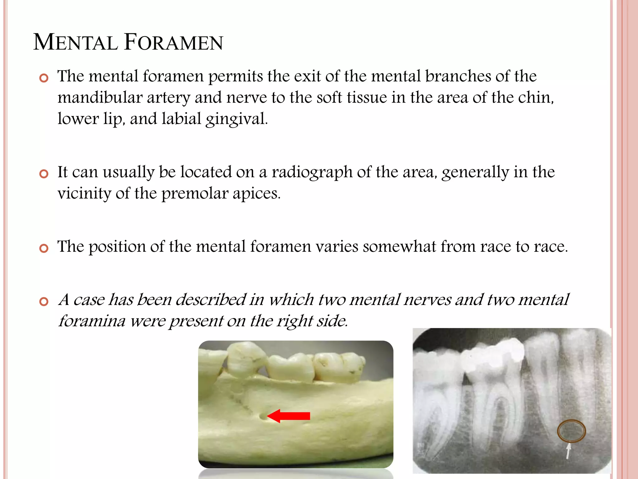 Normal radiographic anatomy | PPTX