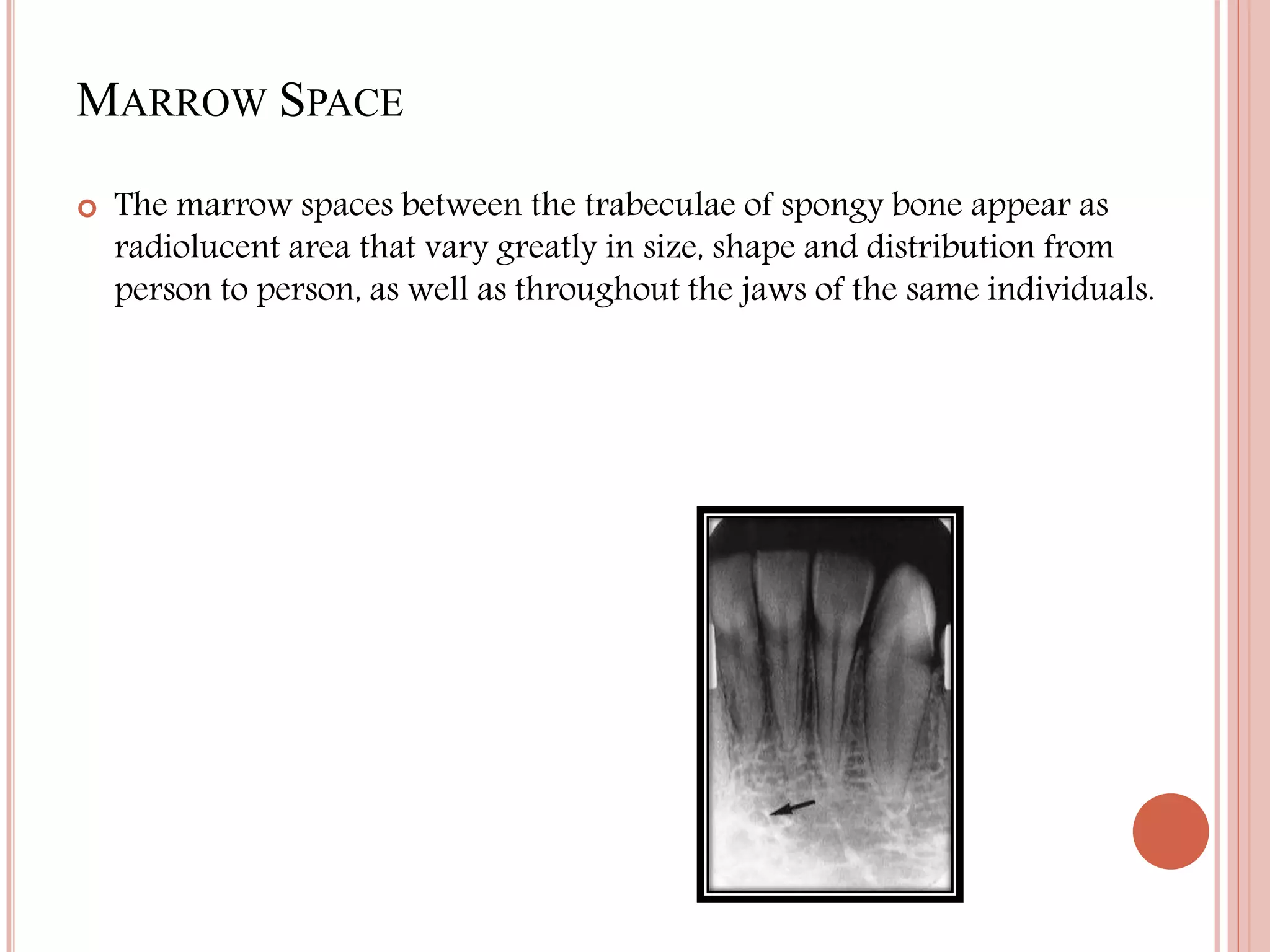 Normal radiographic anatomy | PPTX