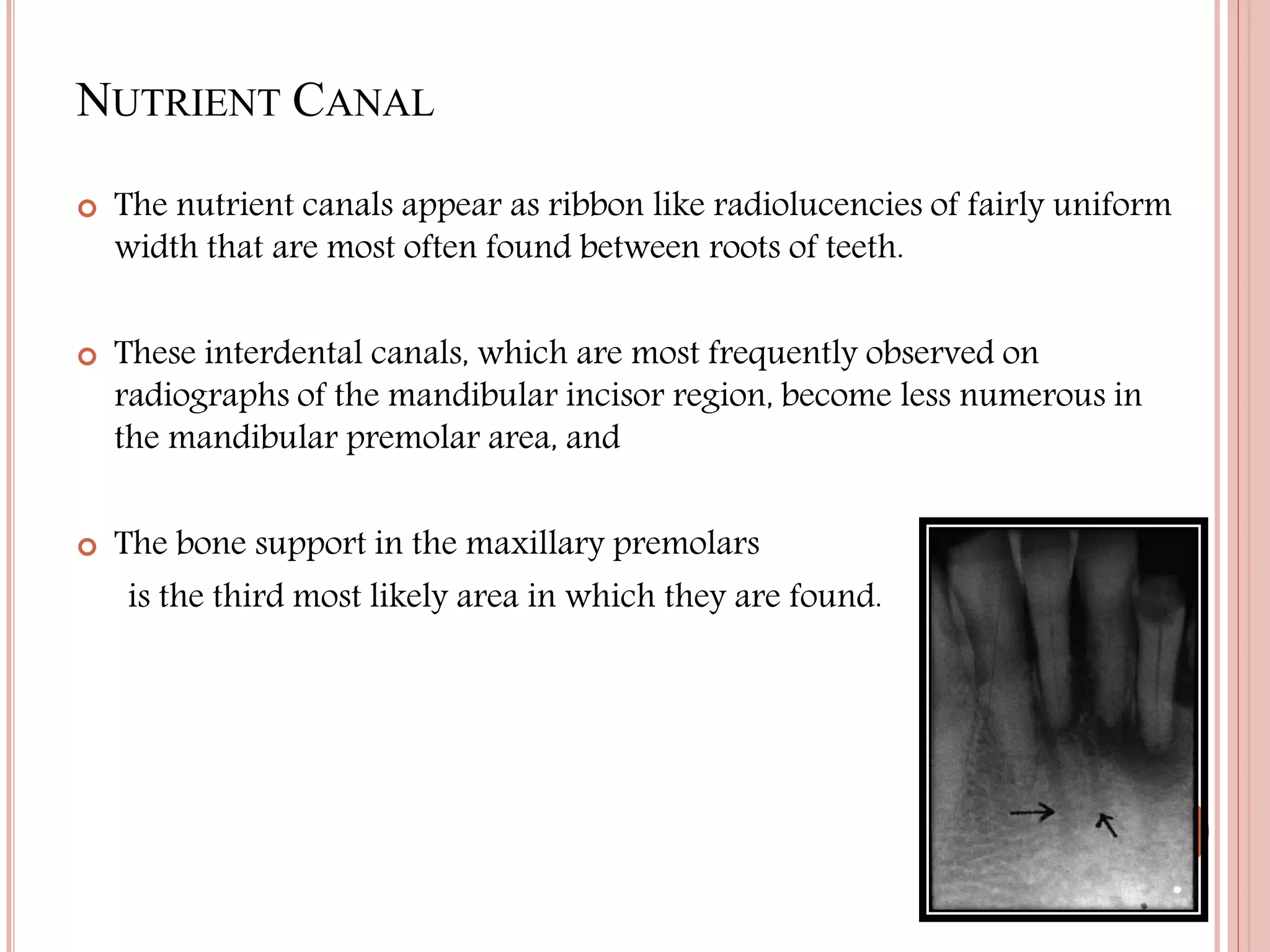 Normal radiographic anatomy | PPTX