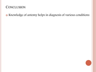 Normal radiographic anatomy | PPTX
