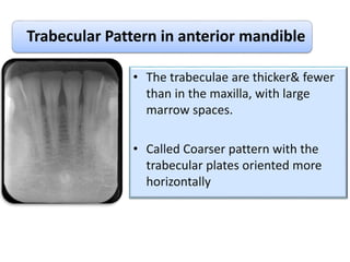 Normal radiographic anatomy .pptx