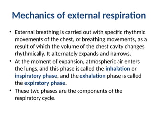 Normal Respiratory Cycle Presentation Presentation | PPTX