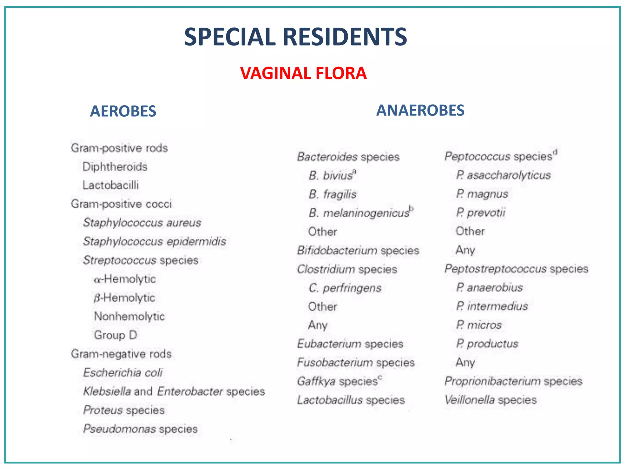 Normal Skin Flora | PPTX