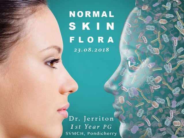Normal Skin Flora | PPTX | Skin and Dermatology | Diseases and Conditions