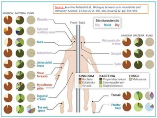 Normal Skin Flora | PPTX