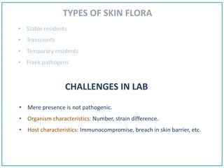 Normal Skin Flora | PPTX