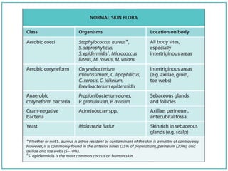 Normal Skin Flora | PPTX