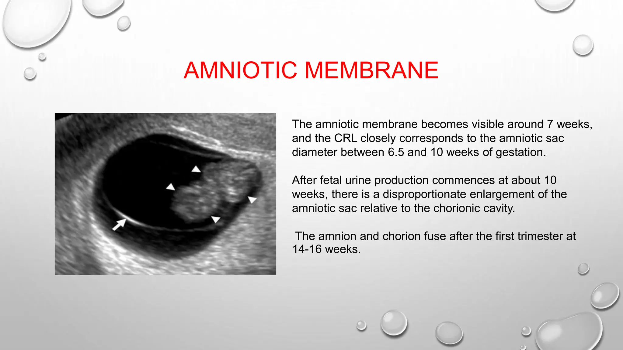 NORMAL SONOLOGICAL FINDING IN FRIST TRIMESTER.pptx
